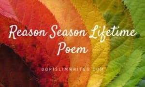 Are Our Relationships For a Reason Season Lifetime? - Doris Lim Writes