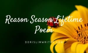 Are Our Relationships For a Reason Season Lifetime? - Doris Lim Writes